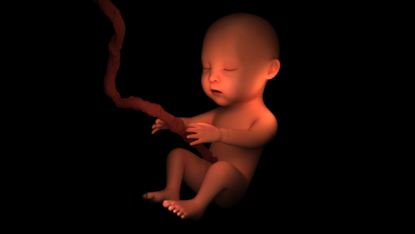 Fetal Development In Other Senses? - Sanskar Shakti - Garbh Sanskar