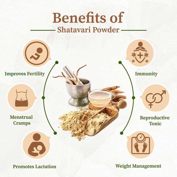 The Effects Of Shatavari Powder During Pregnancy: - Sanskar Shakti ...