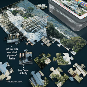 Jain Puzzle – Shree Abu Delwada Tirth - Shrut Gyan